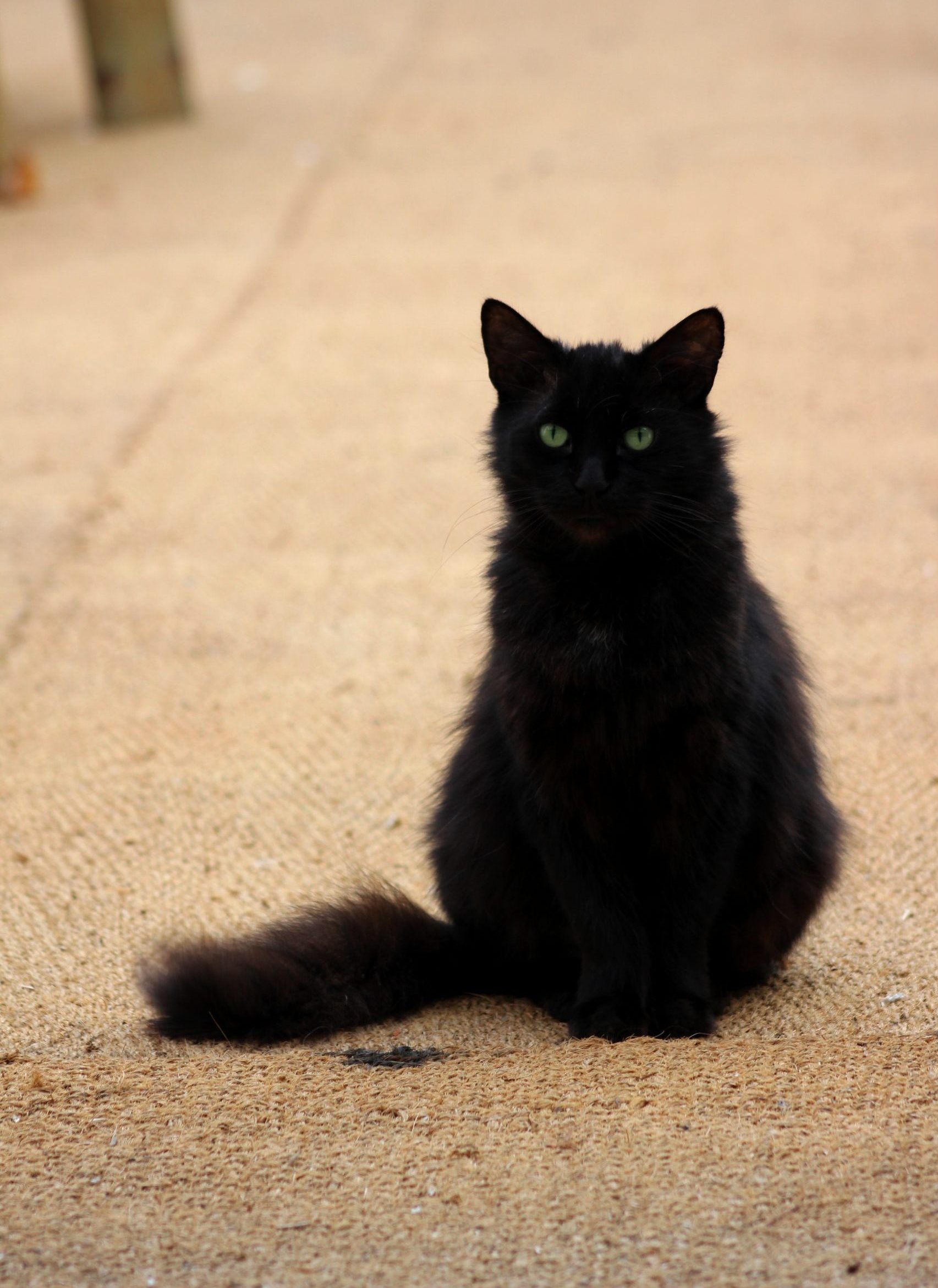Simpkin IV - Hertford College | University of Oxford