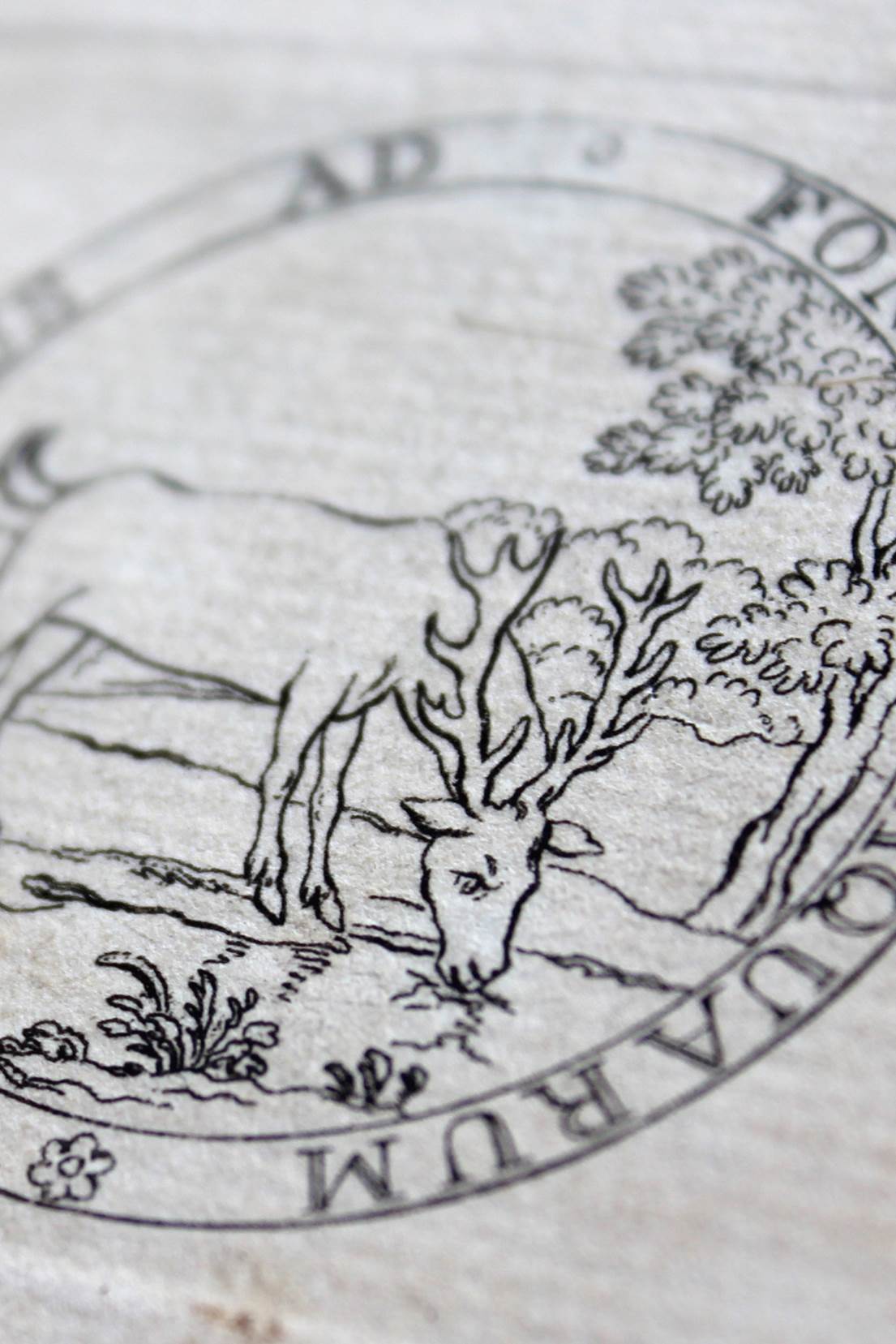 Saints Eustace and Hubert - Hertford College | University of Oxford
