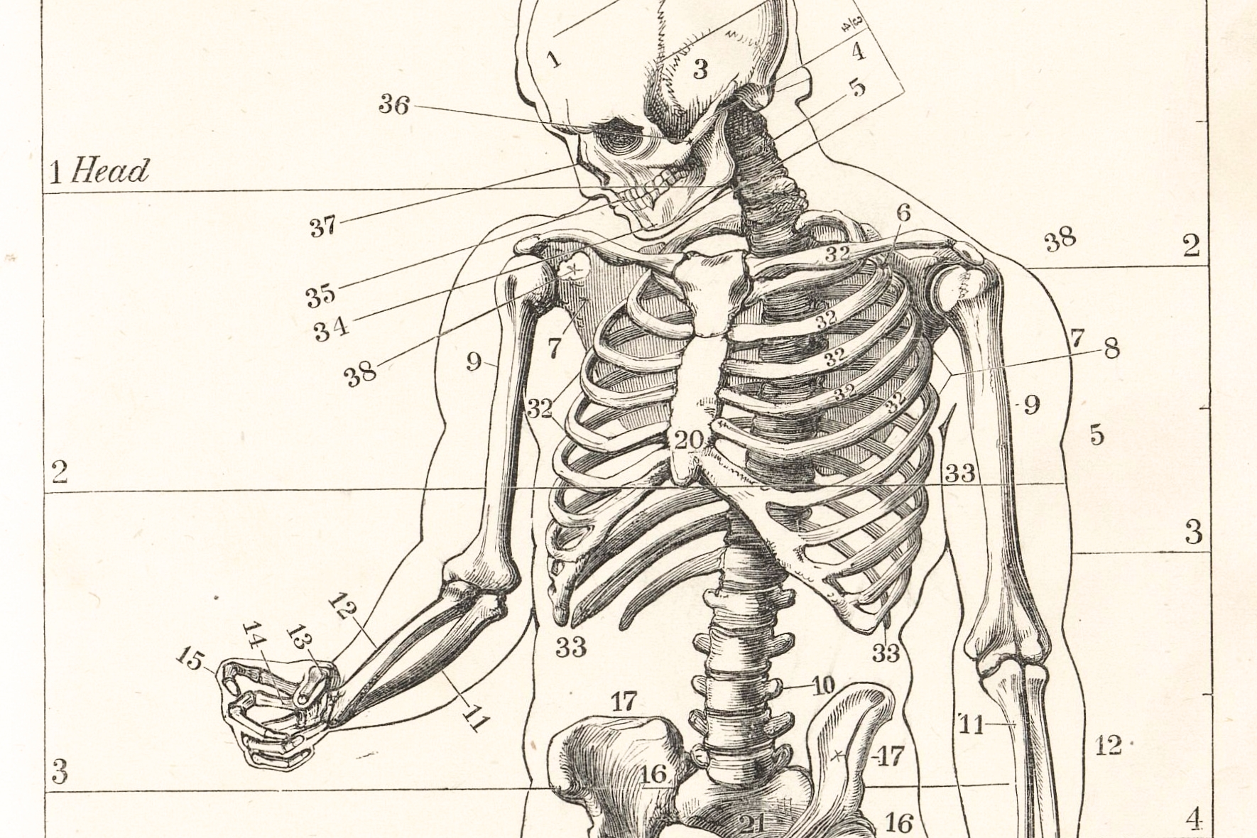 Medicine - Hertford College | University of Oxford
